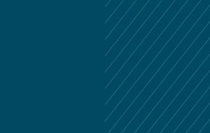 Enterprise Application Hosting Experts | Learn The Wizmo Way